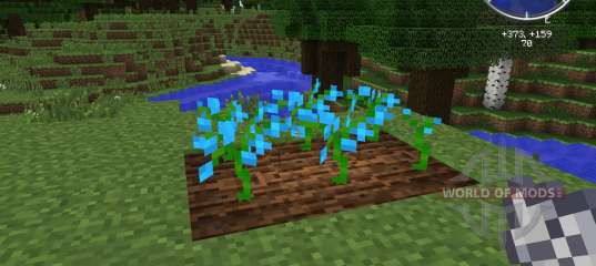 Growing Flowers para Minecraft